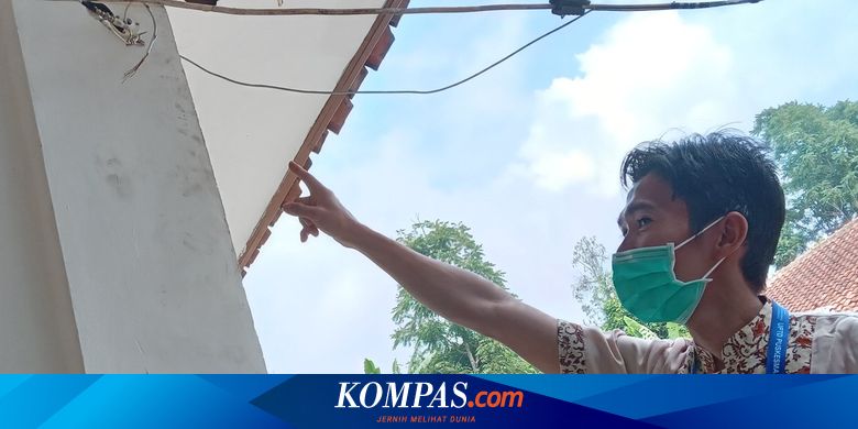 Kawanan Monyet 