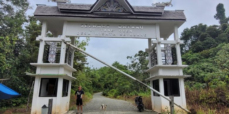 Berita Terkini Harian Tane Olen Terbaru Hari Ini - Kompas.com