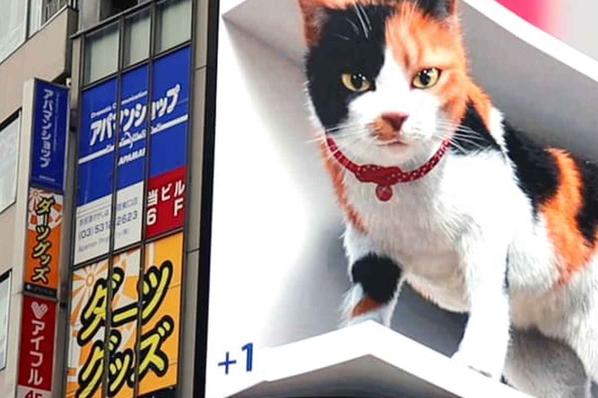 Kucing 3D Raksasa "Ambil Alih" Papan Reklame Tokyo, Netizen Terpukau