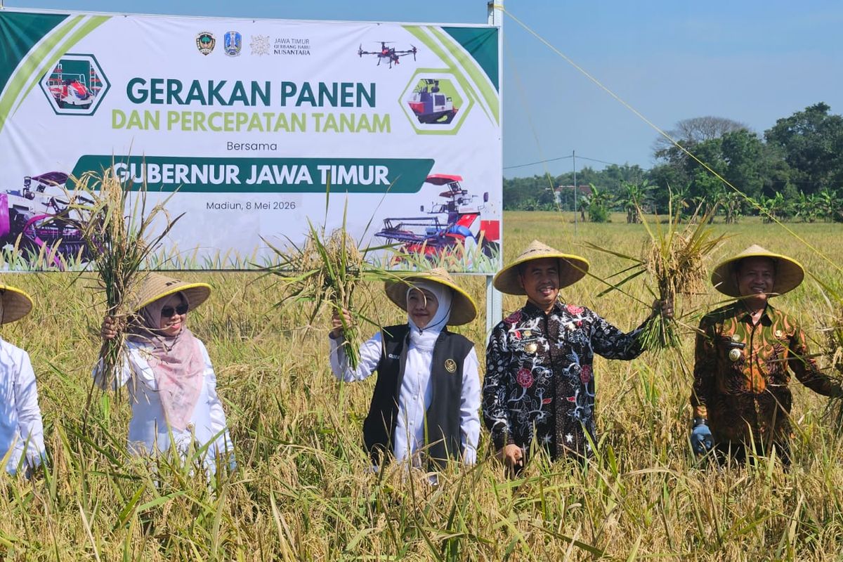 Panen Padi di Madiun, Khofifah Sebut Beras Produk Politik, Harus Aman ...