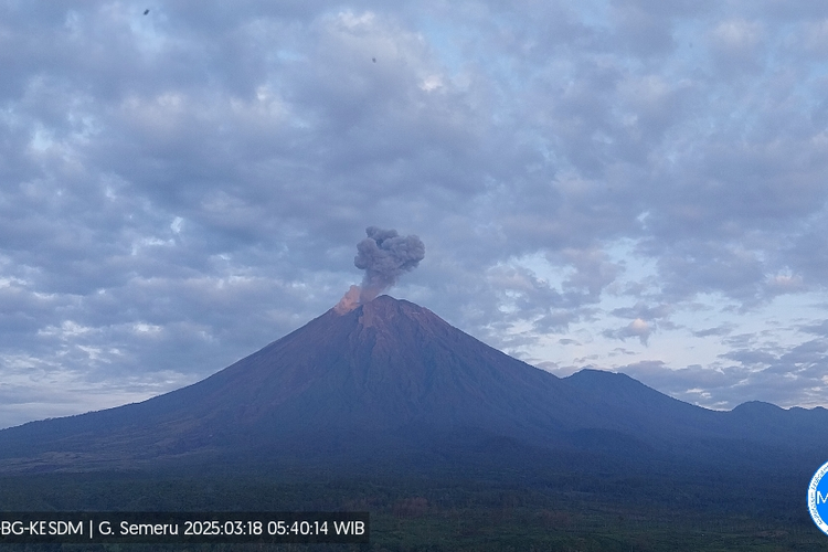 Gunung Semeru Letuskan Abu Tebal Setinggi 1.000 Meter