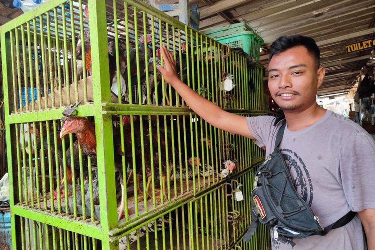 Harga Daging Ayam Mahal meski Stok Banyak, Pedagang: Diceklah Ini ...