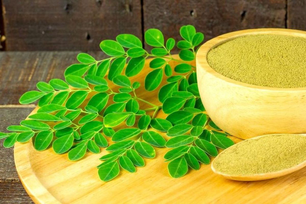 Cara Mengolah Daun Kelor untuk Penurun Kolesterol, Rebus dengan Bahan Ini!