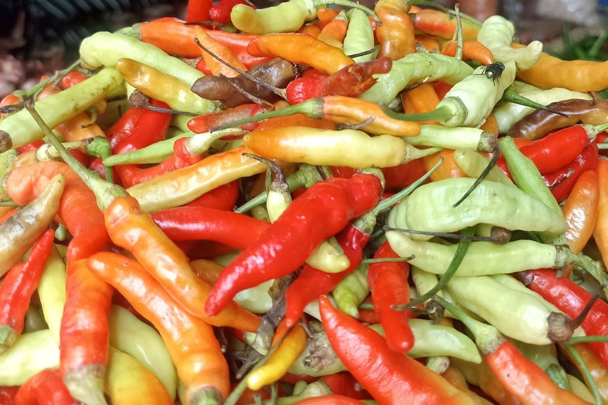 Jelang Nataru, Harga Cabai di Kota Semarang Masih Mahal, Tembus Rp 100.000 Per Kg