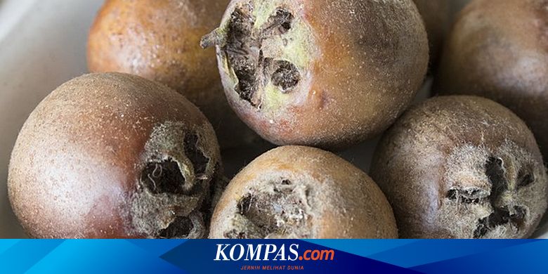 Buah "Pantat Terbuka" yang Populer di Abad Pertengahan
