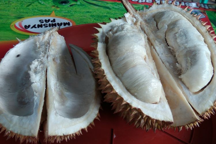 Mengenal Empat Varietas Durian Lokal Indonesia, Mana Favoritmu?