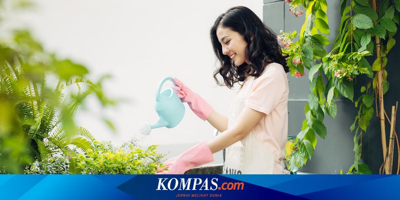 7 Tips Hemat Air saat Berkebun
