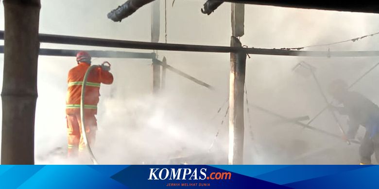 Kandang Berisi 12.000 Ekor Ayam Broiler di Blitar Terbakar, Kerugian Capai Rp 400 Juta