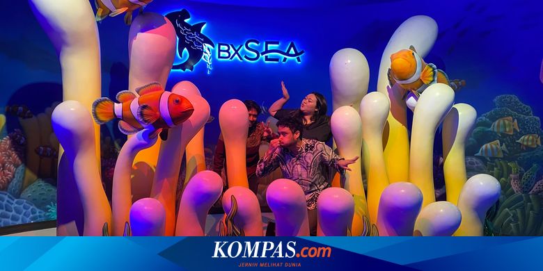 Cara ke Oceanarium BXSea di Bintaro, Bisa Jalan Kaki dari Stasiun KRL