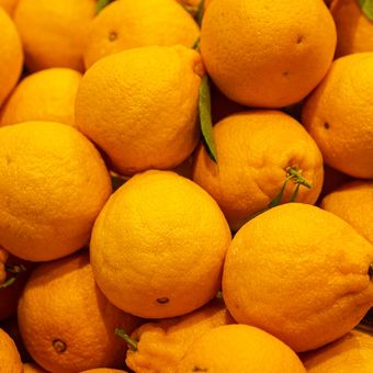 Bolehkah Menyimpan Jeruk di Kulkas? Ini Penjelasannya