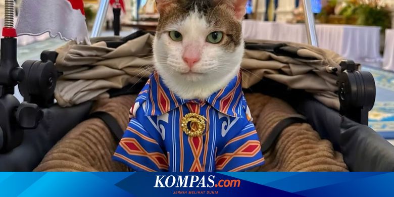 Bobby Kertanegara Pakai Kemeja Biru Saat Upacara Penurunan Bendera