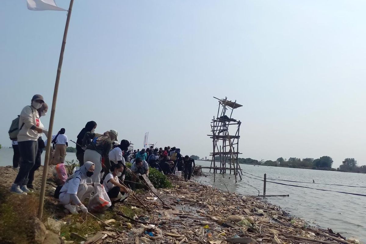 Pandawara Group Datang ke Semarang, Bersihkan Muara Sungai BKT Semarang ...