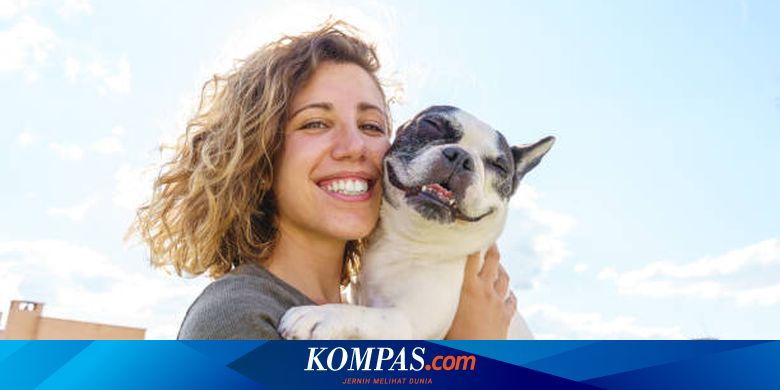 6 Tips Sederhana Menjalin Ikatan yang Kuat dengan Anjing Peliharaan