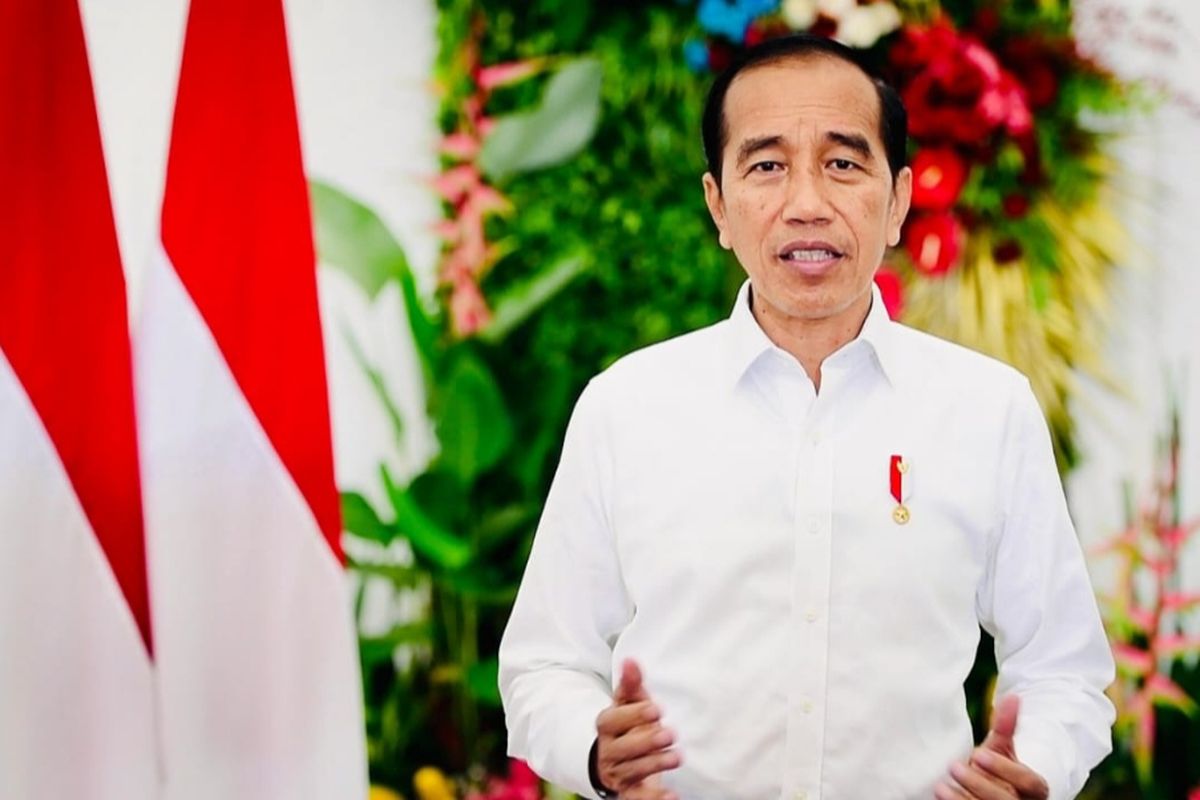 Menyoal "Cawe-cawe" Presiden Jokowi