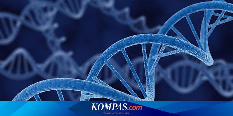 Apa yang Dimaksud dengan Gen? Berikut Pengertian dan Fungsinya