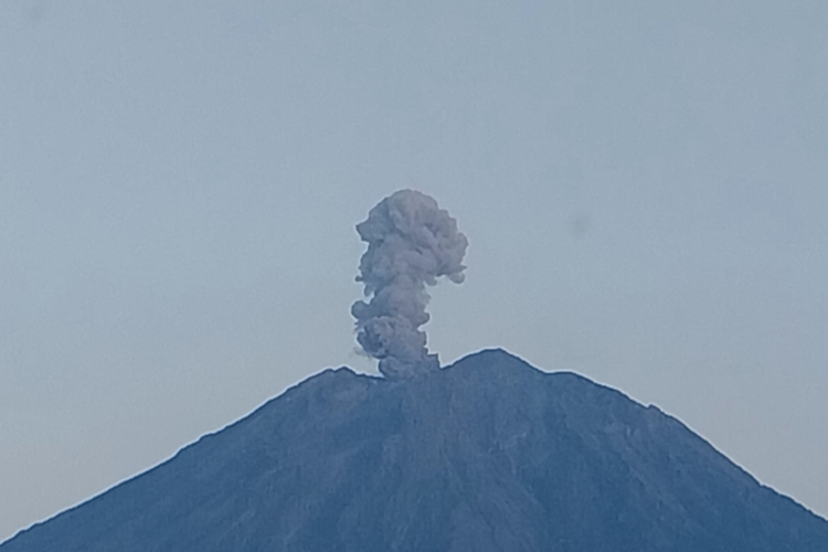 Gunung Semeru kembali Erupsi, Tinggi Letusan 1.200 Meter di Atas Kawah