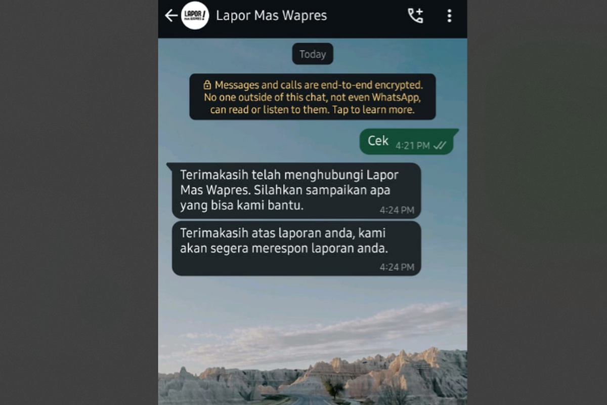 Gibran Buka Layanan Pengaduan "Lapor Mas Wapres", Warganet Mengeluh Centang Satu