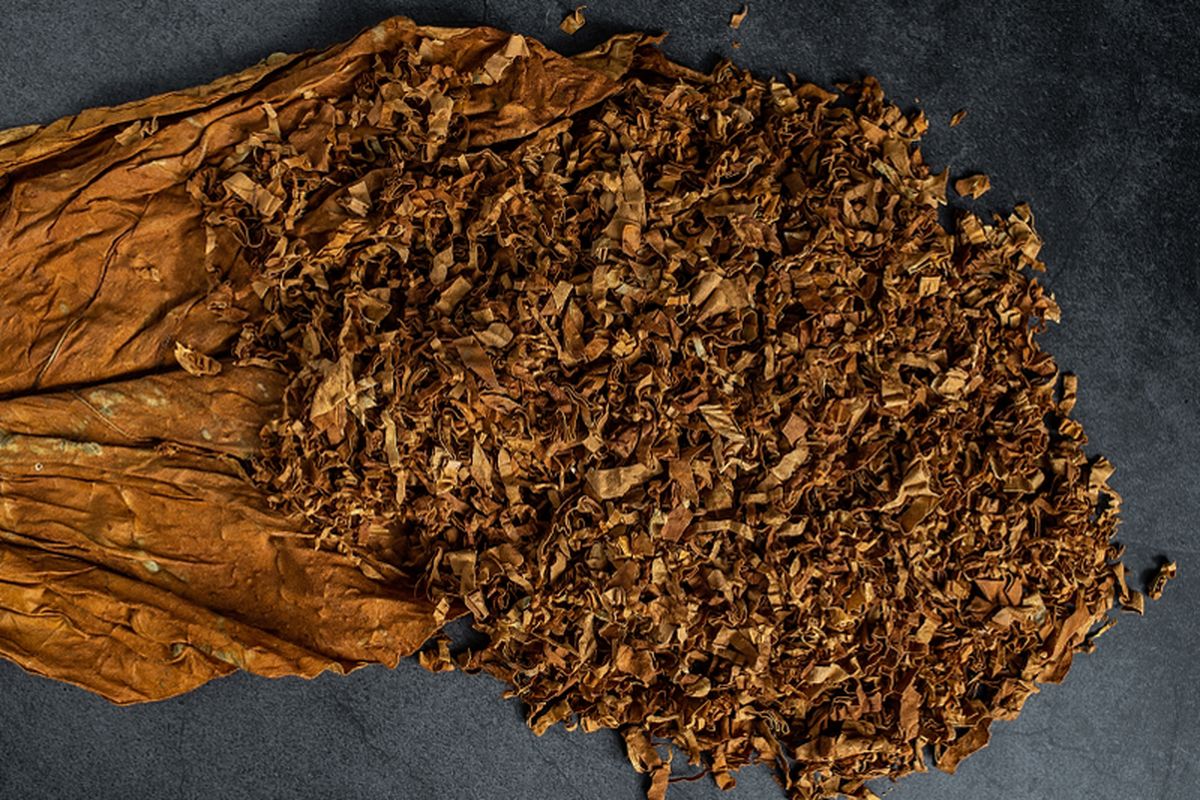 Industri Hasil Tembakau RI Perlu "Roadmap" yang Berkeadilan demi ...