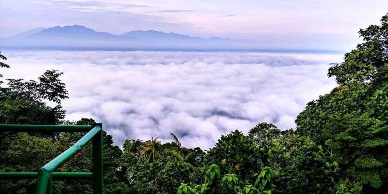 Mengenal Rawa Danau di Banten, Satu-satunya Rawa Pegunungan di Jawa