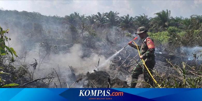 Kabut Asap akibat Kebakaran Hutan dan Lahan Selimuti Pekanbaru