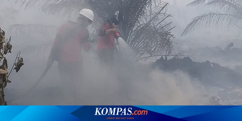 Status Siaga Darurat Kebakaran Hutan dan Lahan di Riau Berakhir