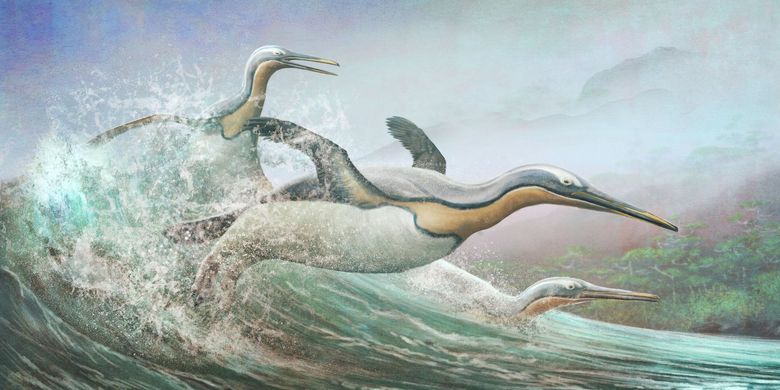 Mirip Penguin Purba, Burung Raksasa Ini Tingginya Lebih dari 2 Meter