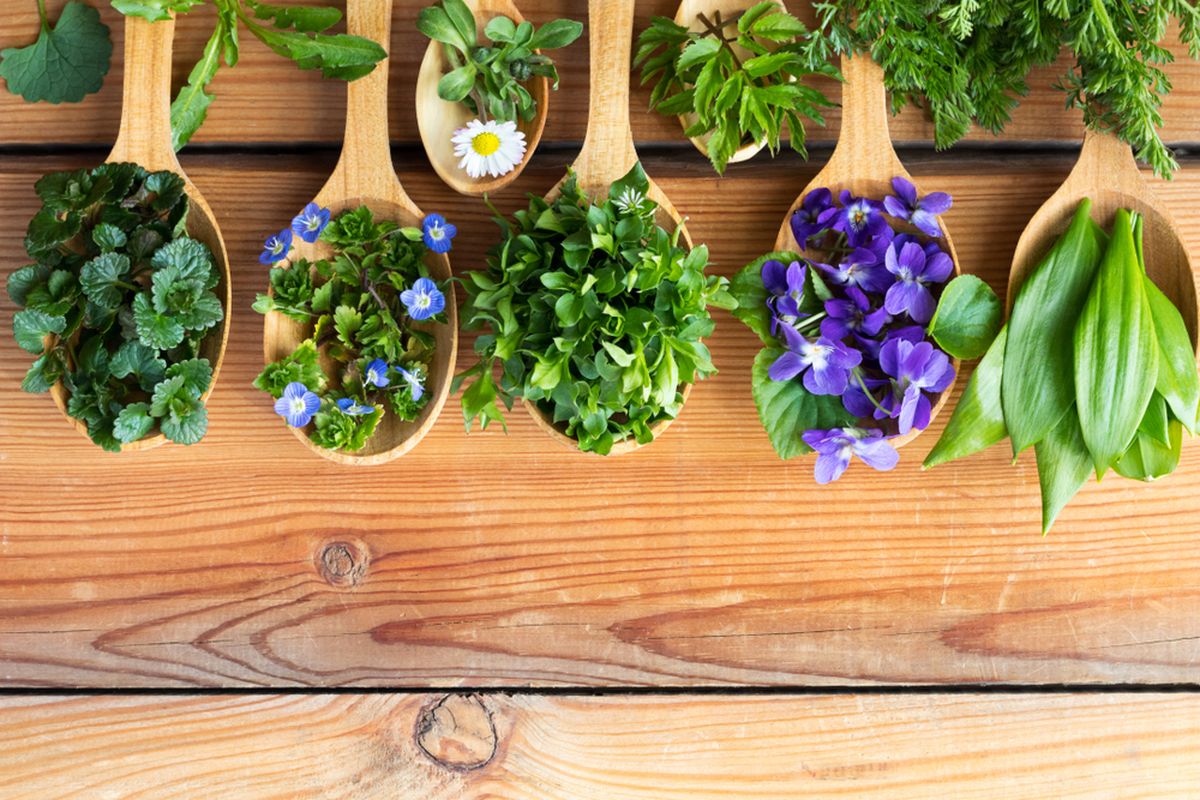 16 Jenis Edible Flower di Indonesia, Bunga yang Bisa Dimakan