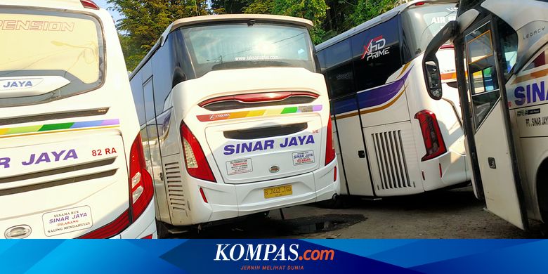 Sopir Bus Perlu Adaptasi Saat Pakai Bus Baru