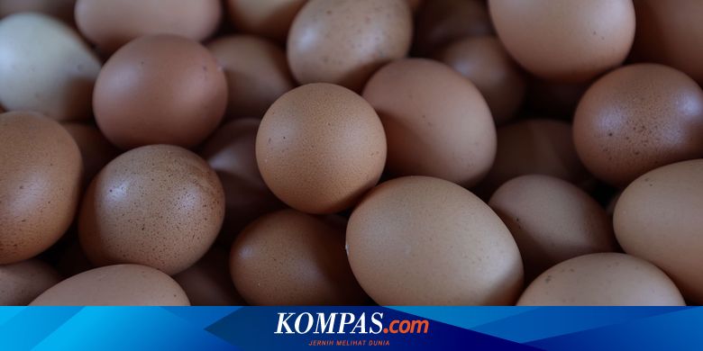 Harga Telur Ayam Masih Mahal, di Merauke Papua Tembus Rp 54.000 Per Kg