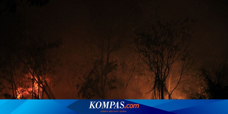 Api Membesar, Pemadaman Kebakaran Lahan di Pontianak Terkendala Sumber Air