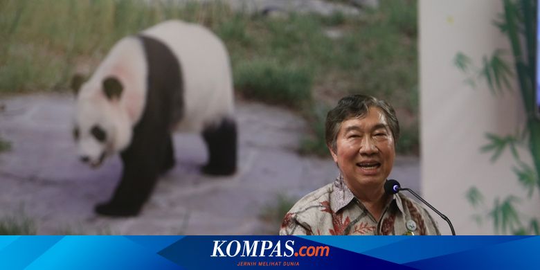 Bantah Lakukan Penyetruman, Jansen Manansang: Kalau Pakai Setrum Gajah ...