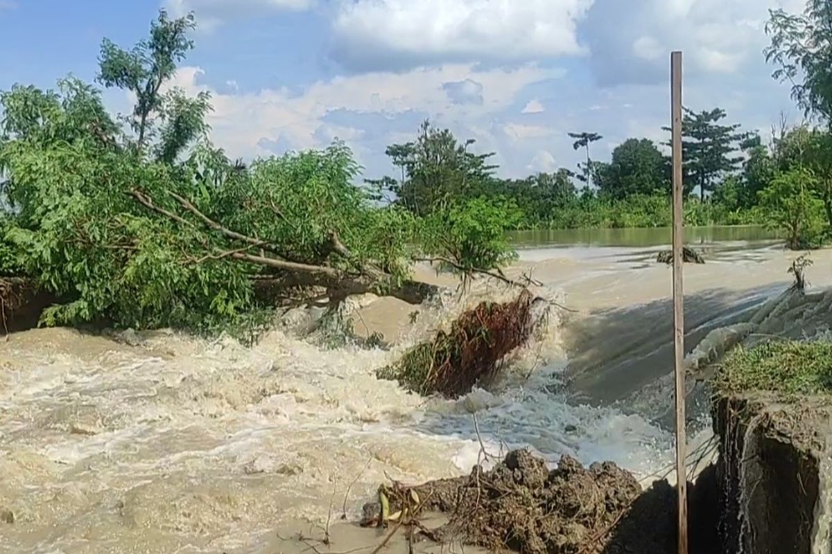Banjir di Grobogan dan Demak, Tanggul Jebol Jadi Masalah Berulang