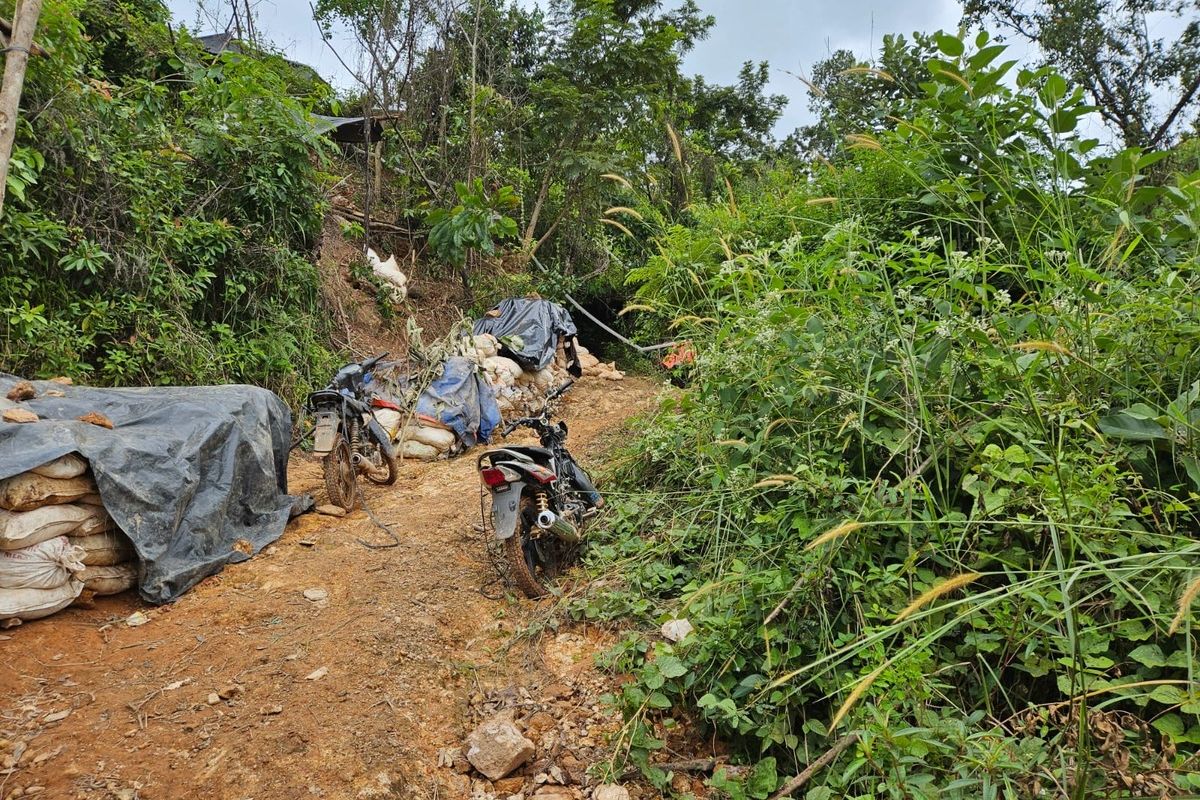 Walhi Desak Pemberantasan Tambang Emas Ilegal di Way Kanan
