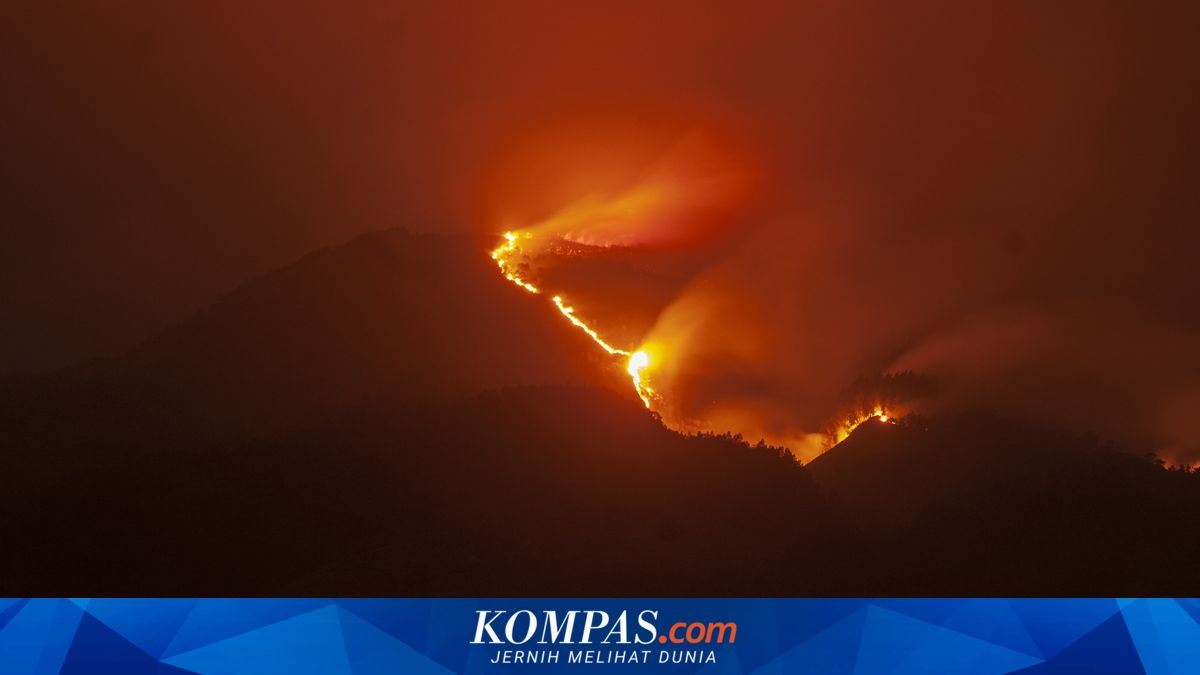 Asap Kebakaran Gunung Merbabu Bikin Mata Pedih, Sejumlah Warga Diungsikan