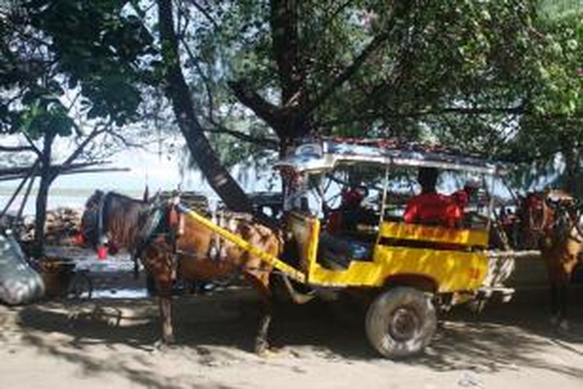 Ketika Cidomo Jadi Ikon Wisata Gili Trawangan...