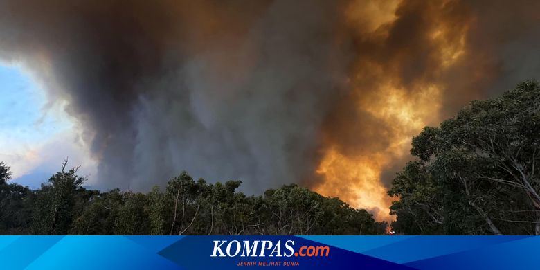 [POPULER GLOBAL] Kebakaran Australia | Penjelasan Malaysia atas WNI Ditembak