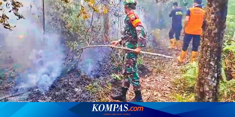Kebakaran Landa 7 Hektare Hutan dan Lahan di Kampar, Riau