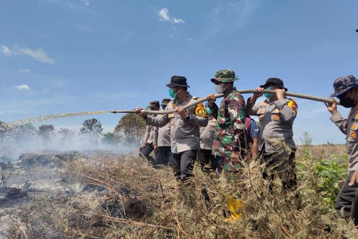 Kebakaran Hutan dan Lahan di Riau, Kapolda: Pembakaran Hutan Kejahatan Serius