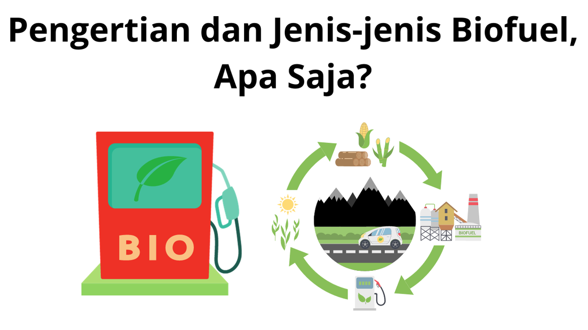Pengertian dan Jenis-jenis Biofuel, Apa Saja?