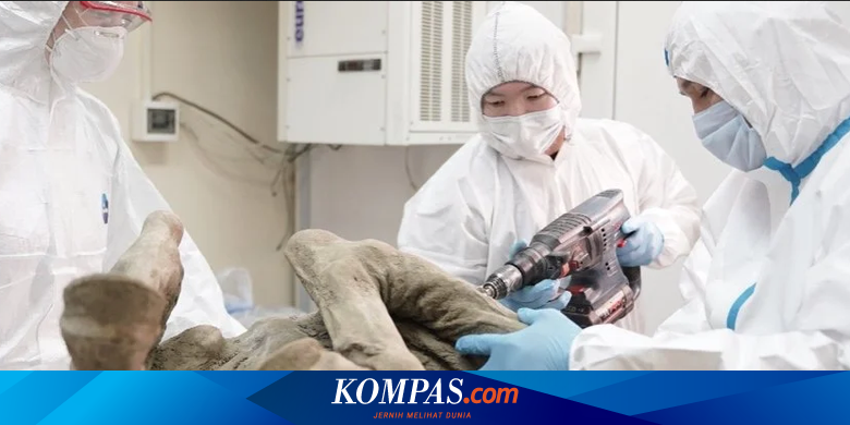 Lacak Virus Prasejarah, Ahli Teliti Sisa-sisa Hewan Purba yang Terkubur ...