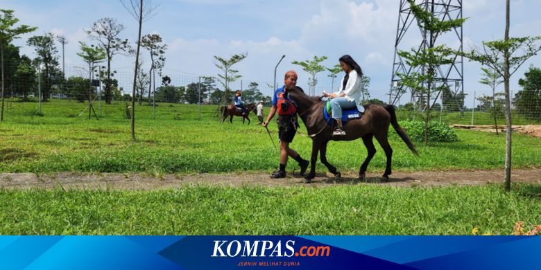Tepi Kota Healing Bandung, Harga Tiket Masuk dan Rute Menuju ke Sana