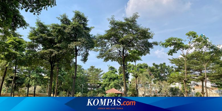 Taman Bambu di Jakarta Timur, Asyik buat Nongkrong Bareng Teman