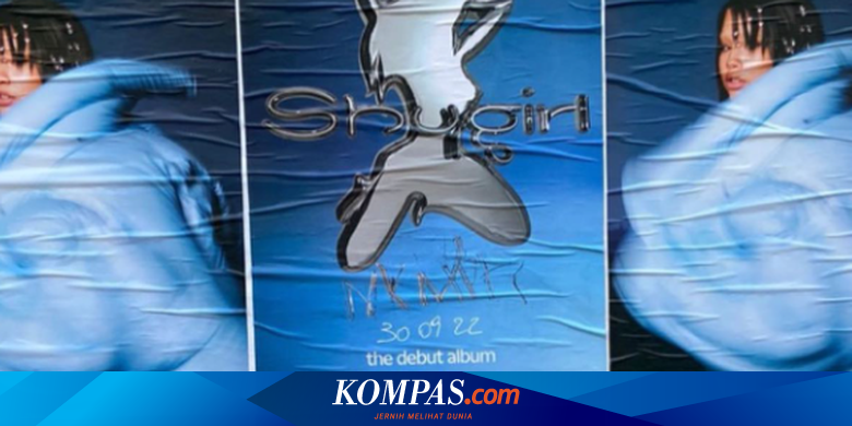 Lirik Lagu Firefly, Singel Baru Shygirl