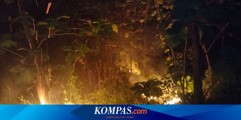 Api Sisa Pembakaran Sampah Belum Padam, Lahan 2 Hektar di Semarang Terbakar