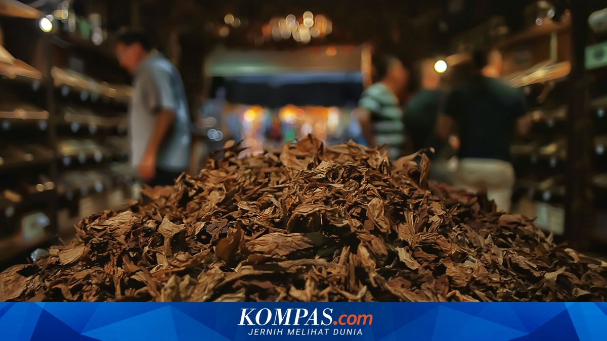 WCTC 2025 dan Paradoks Pengendalian Tembakau di Indonesia