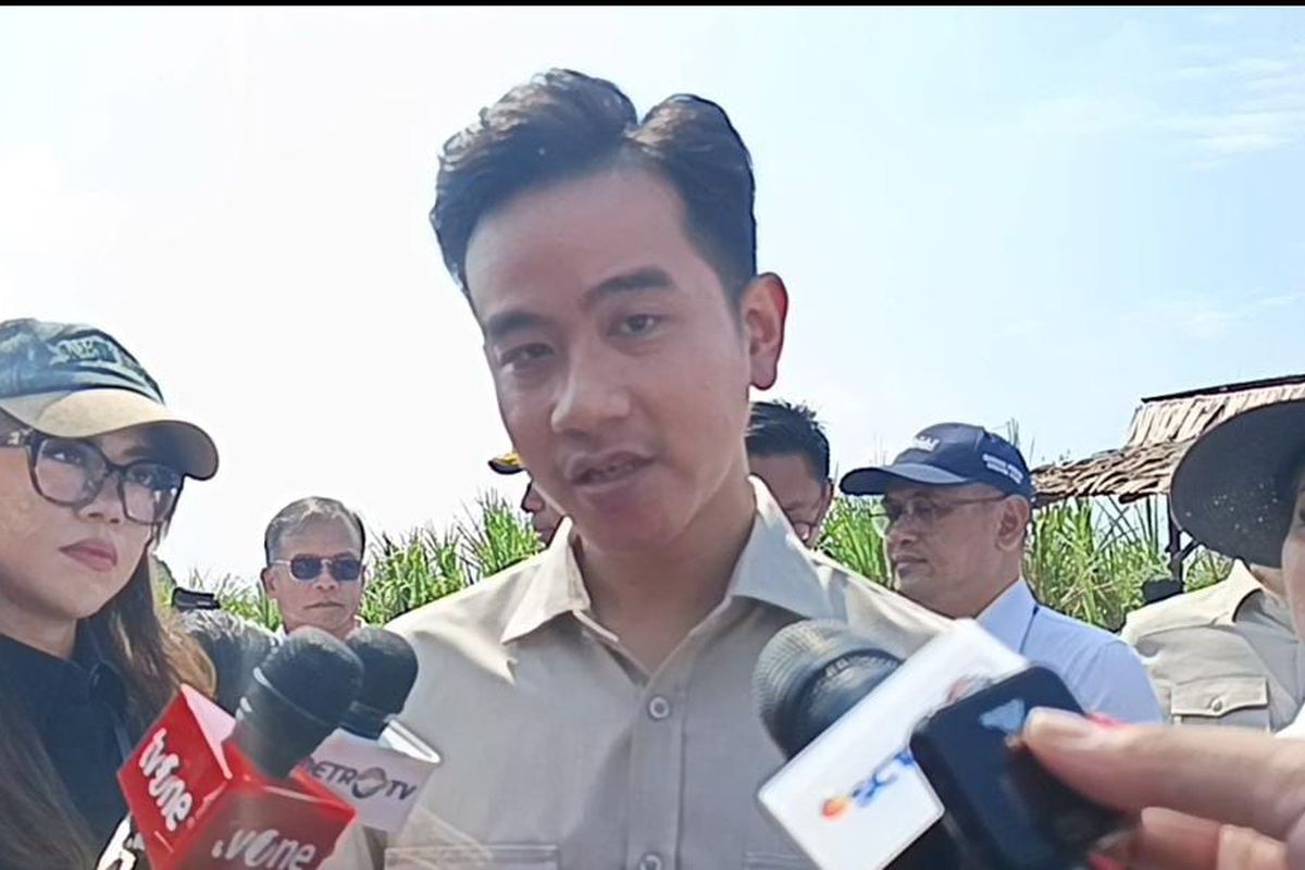 Gibran Bakal Berkantor di Papua, Dapat Penugasan Langsung dari Prabowo