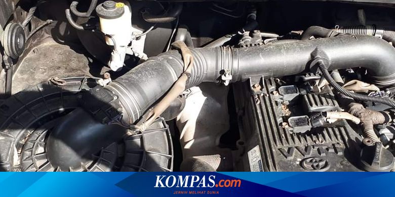 Awas, Kabel-kabel Ini Paling Rawan jika Digigit Tikus