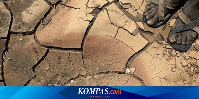 Kekeringan Ekstrem Landa 11 Wilayah di NTT, Ini Rekomendasi Ahli