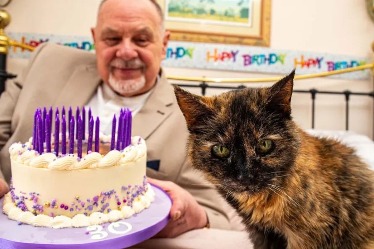 Rahasia "Kucing Tertua di Dunia" yang Berusia 30 Tahun, Hanya Minum Air ...