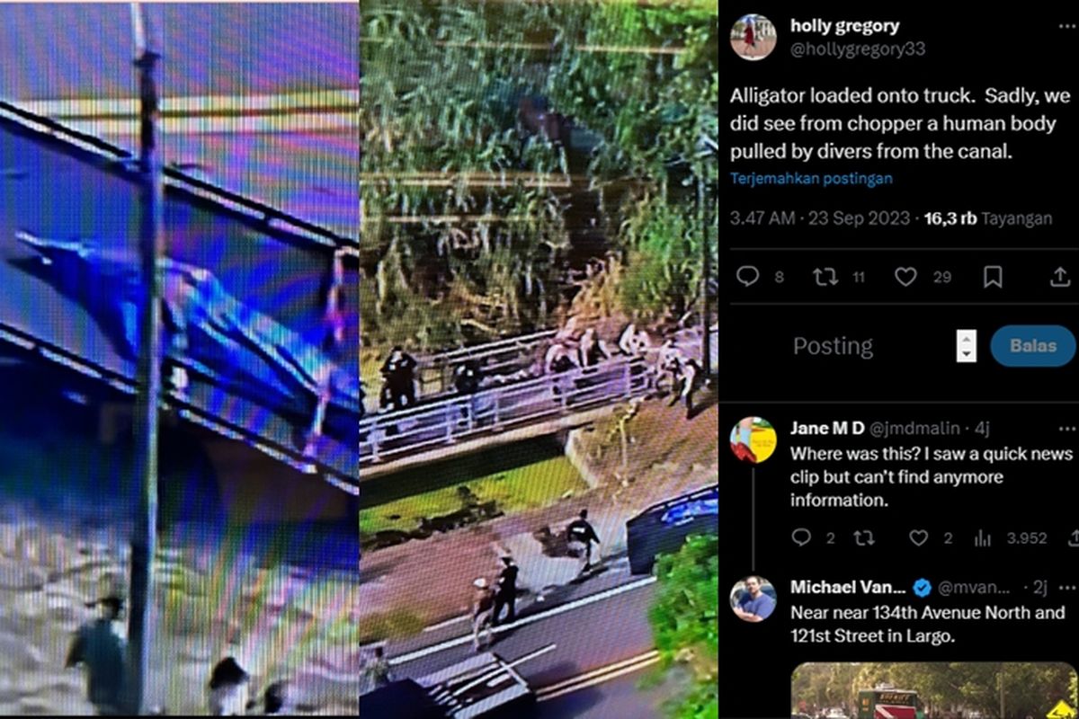 Aligator Bawa Potongan Tubuh Manusia Saat Berkeliaran Dekat Perumahan ...